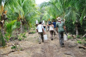 The Great Gandul Harvest @ Project Bona Fide